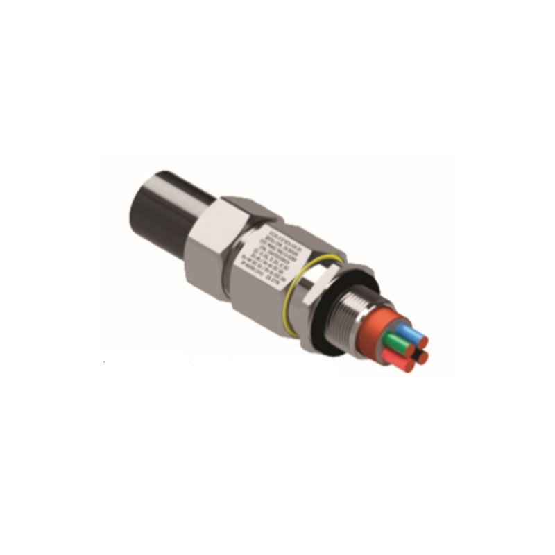 CCG Cable Gland For Steel Wire Armoured/VSD Cable E1EX-VS 6-63 52.5-65 ...