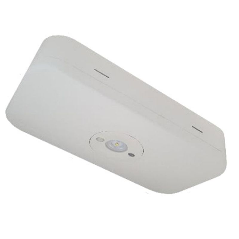 Clevertronics LP Premium Lifelight Weatherproof Emergency Light Surface ...