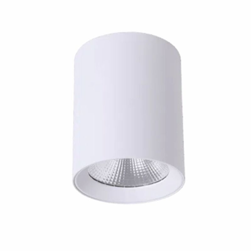 Paco 10W 100mm Tricolour LED Surface Mounted Downlight White | Go ...